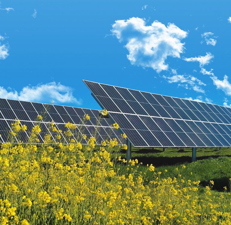 Agrovoltaics, agricultural efficiency with photovoltaic solutions