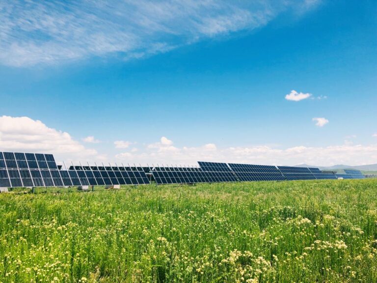 Stock Information | Soltec